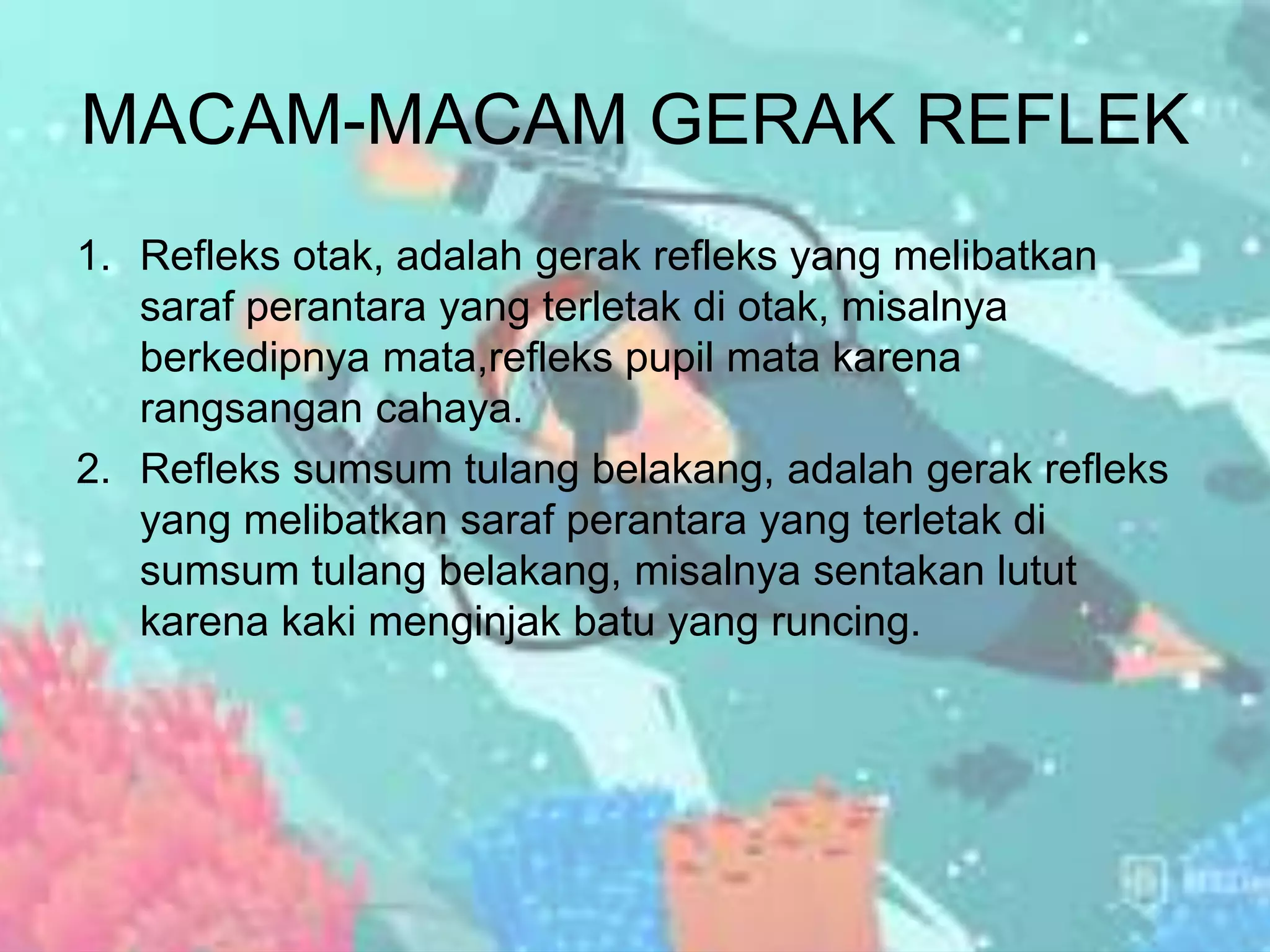 Gerak refleks kelompok 10 | PPTX