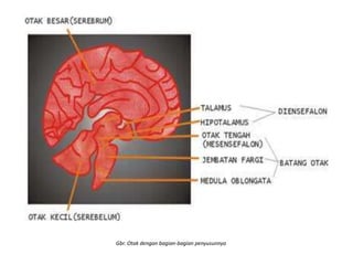 Gerak sadar dan gerak refleks | PPTX