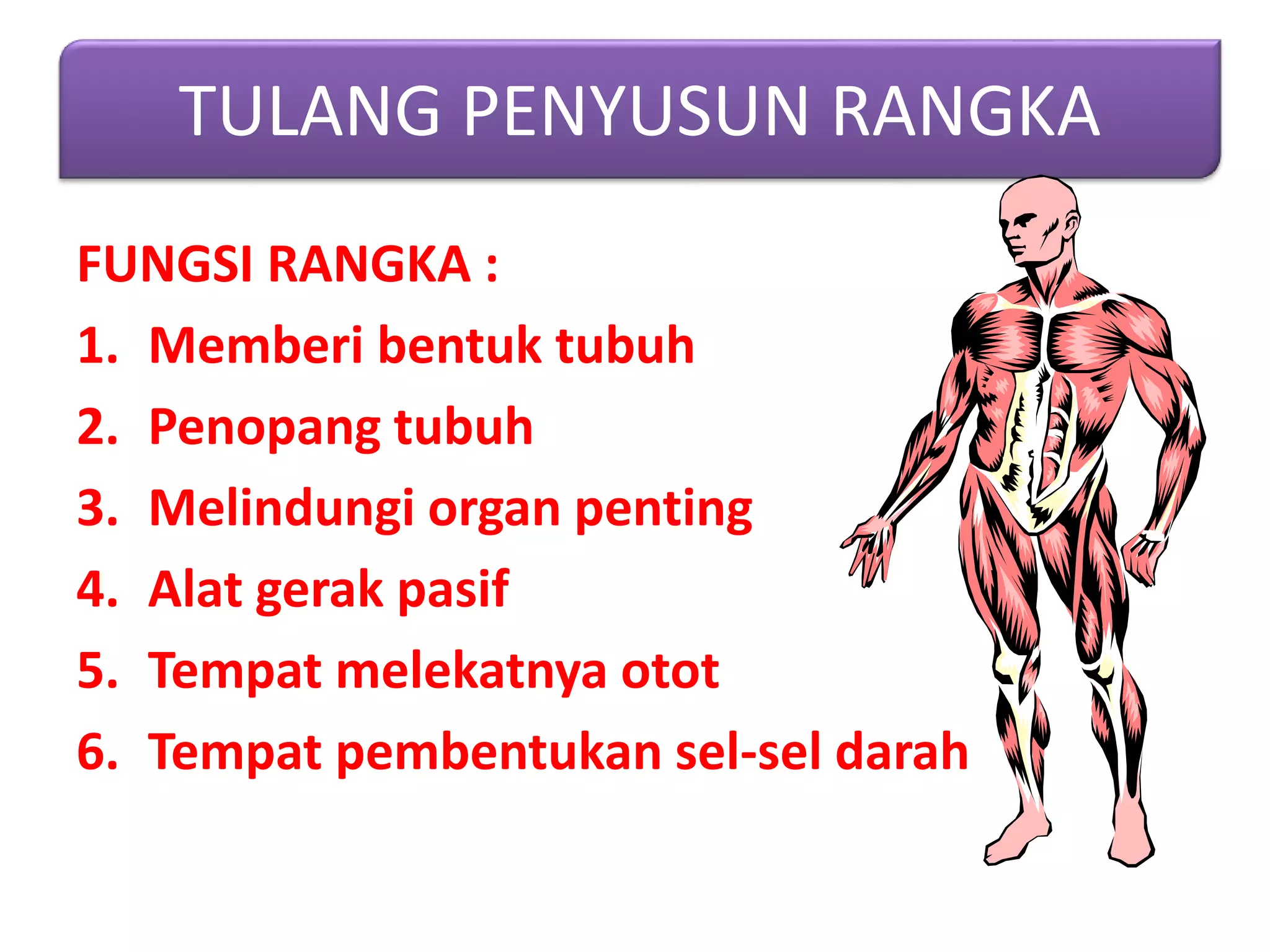 Gerak, sendi dan otot | PPT