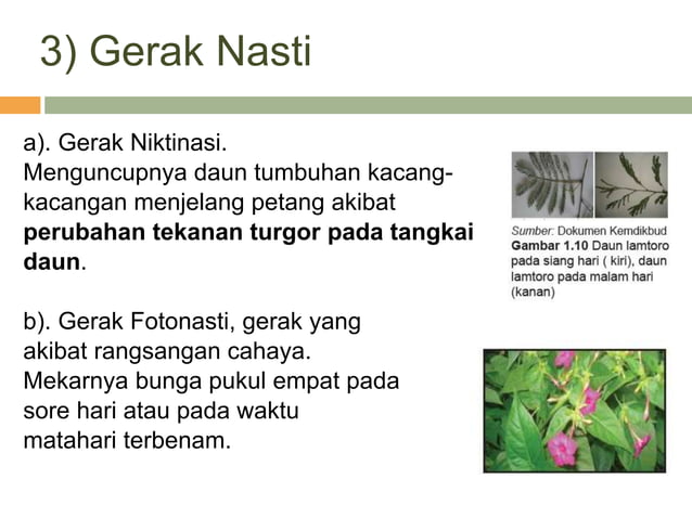Gerak tumbuhan | PPT