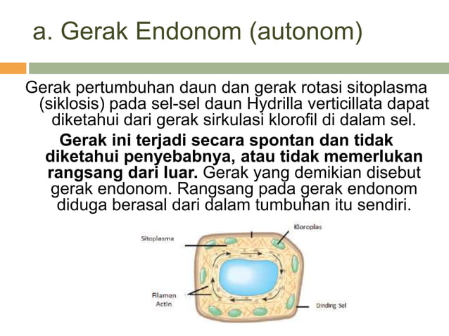 Gerak tumbuhan | PPT