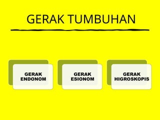 GERAK+TUMBUHAN+kurikulummerdeka+kelas7pptx | PPTX
