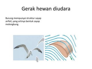 gerak tumbuhan dan hewan.pptx