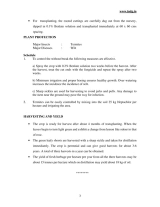 Production technology of Geranium | PDF