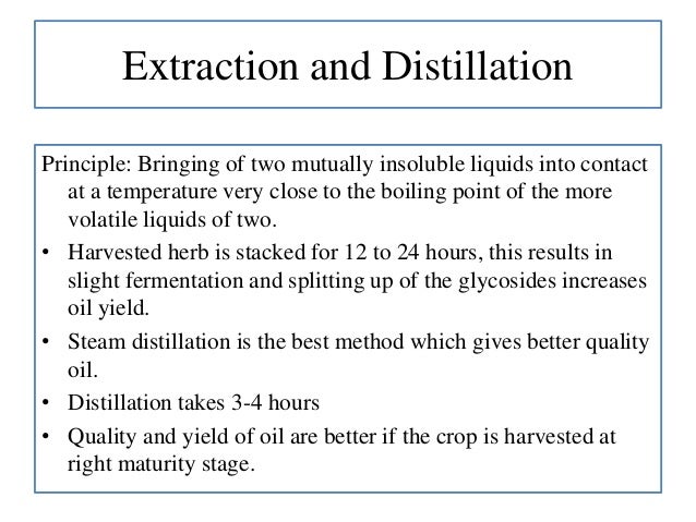Extraction of Essential oil from Scented Geranium