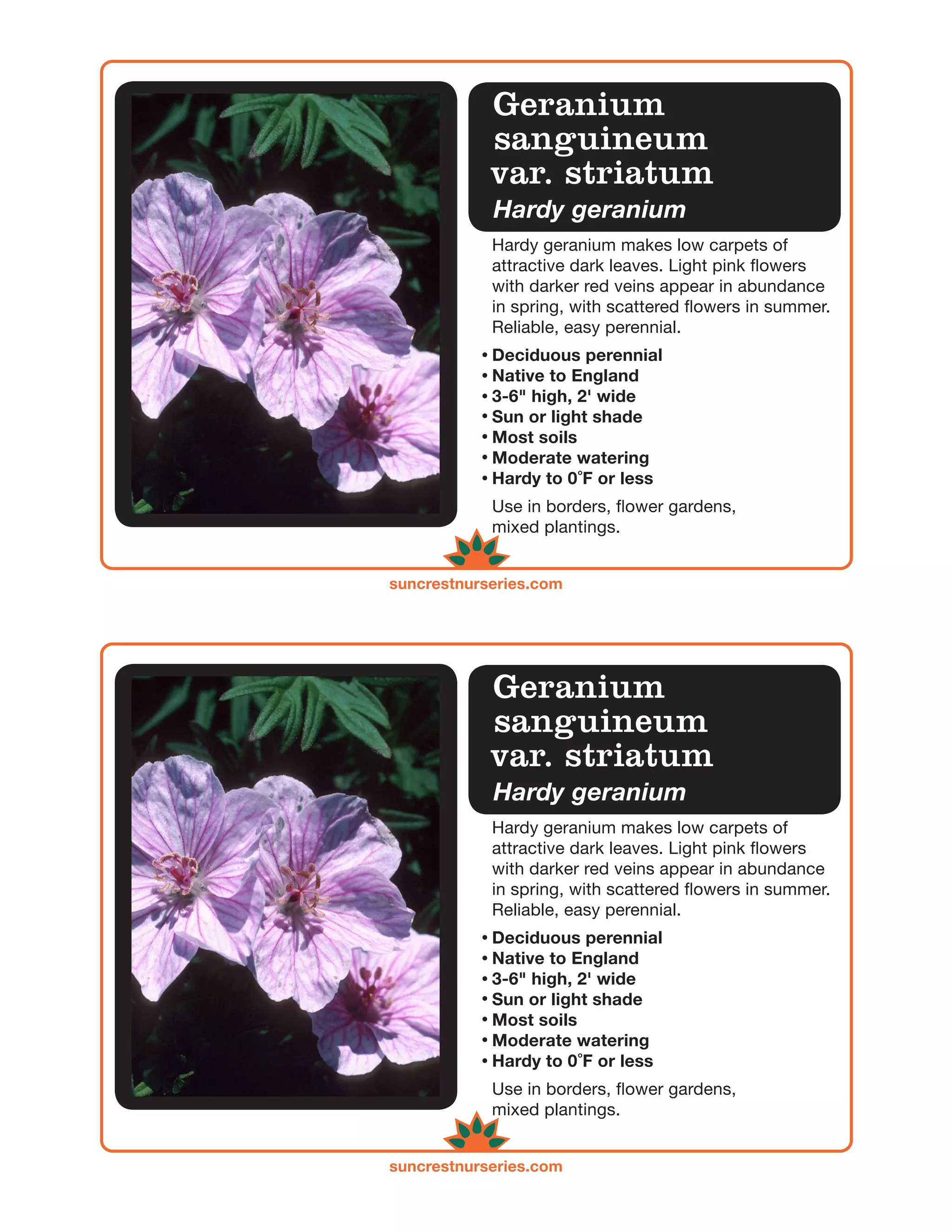 Geranium sanguineum var striatum label | PDF