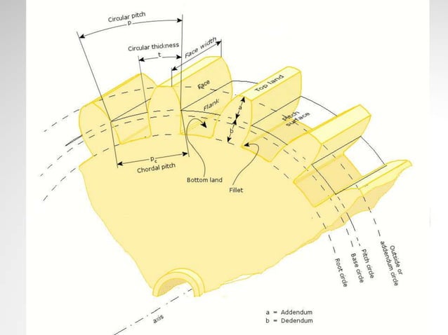 Gear terminologies | PPTX | Physics | Science