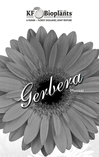 Gerbera 1.pdf