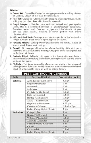 Gerbera 1.pdf