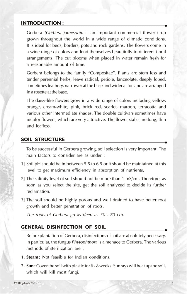 Gerbera 1.pdf