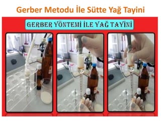 Gerber Metodu İle Sütte Yağ Tayini.pptx