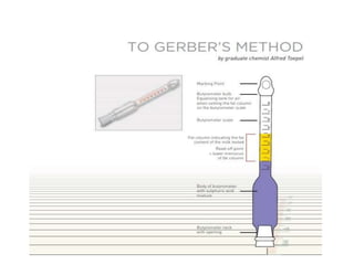 Gerber Metodu İle Sütte Yağ Tayini.pptx