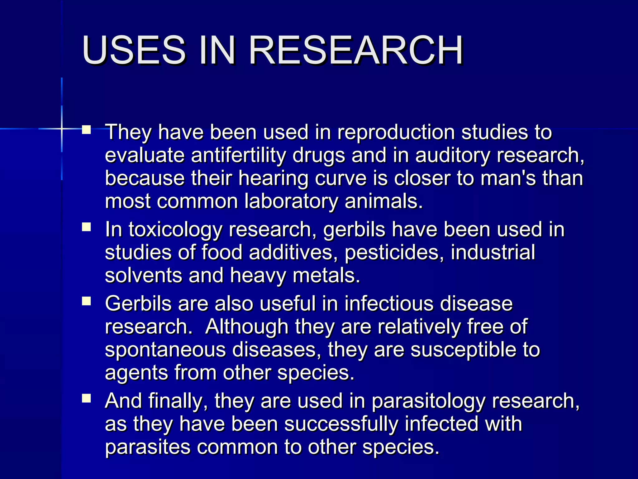 Gerbils biology anatomy and more | PPT