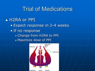 Gastro Esophageal Reflux Disease | PPT | Digestive Disorders | Diseases ...