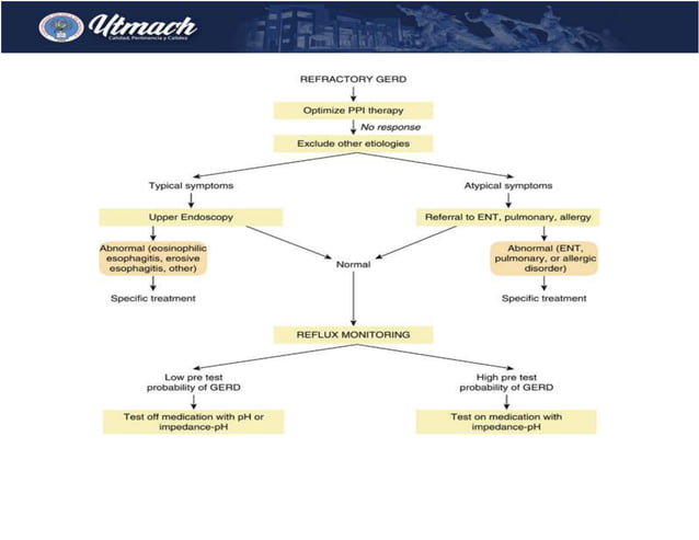 Gerd algorithm | PPT