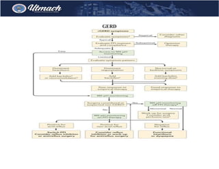 Gerd algorithm | PPT