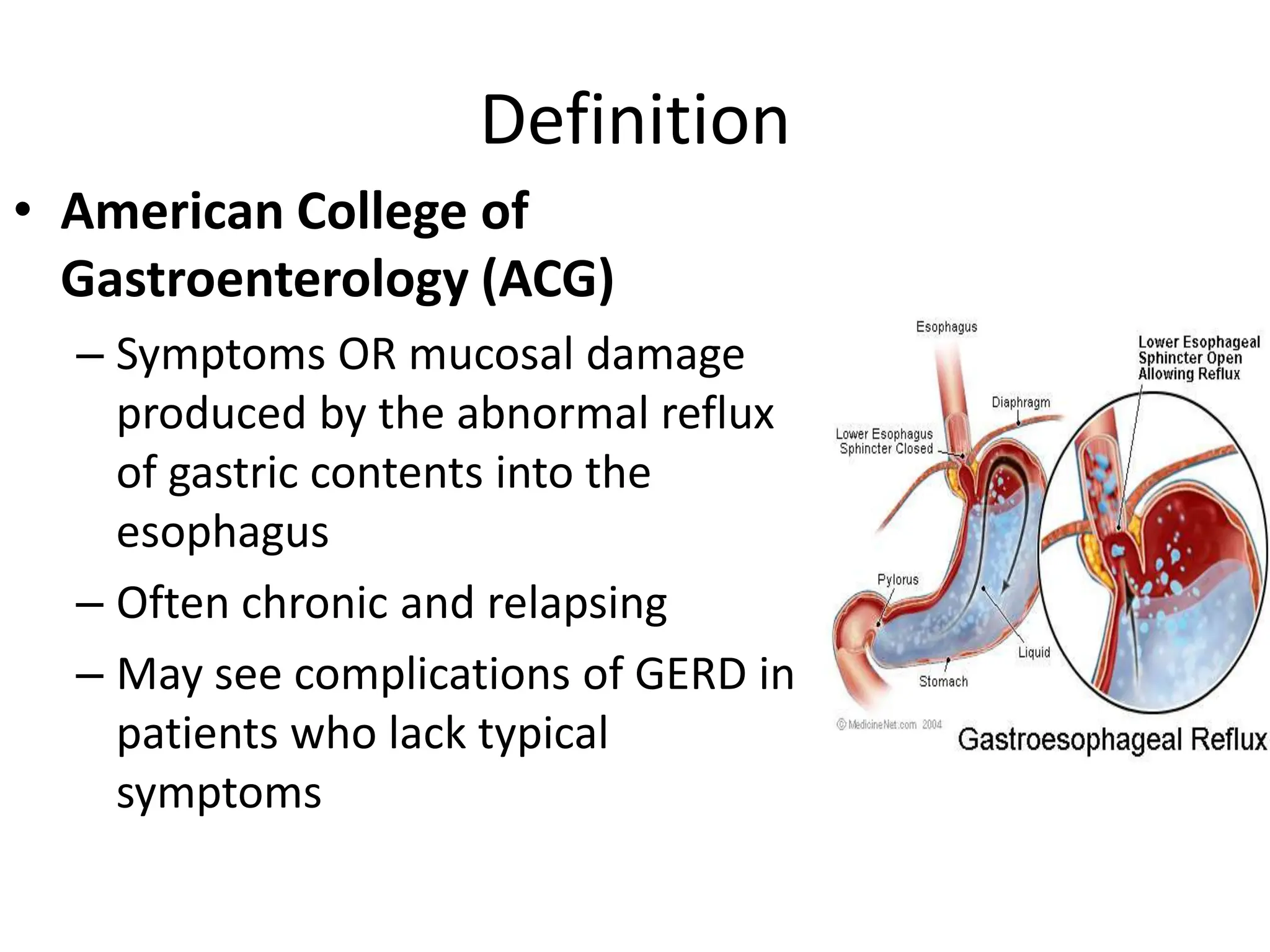 gerddrsendhil-stomach system gut splinter.pdf