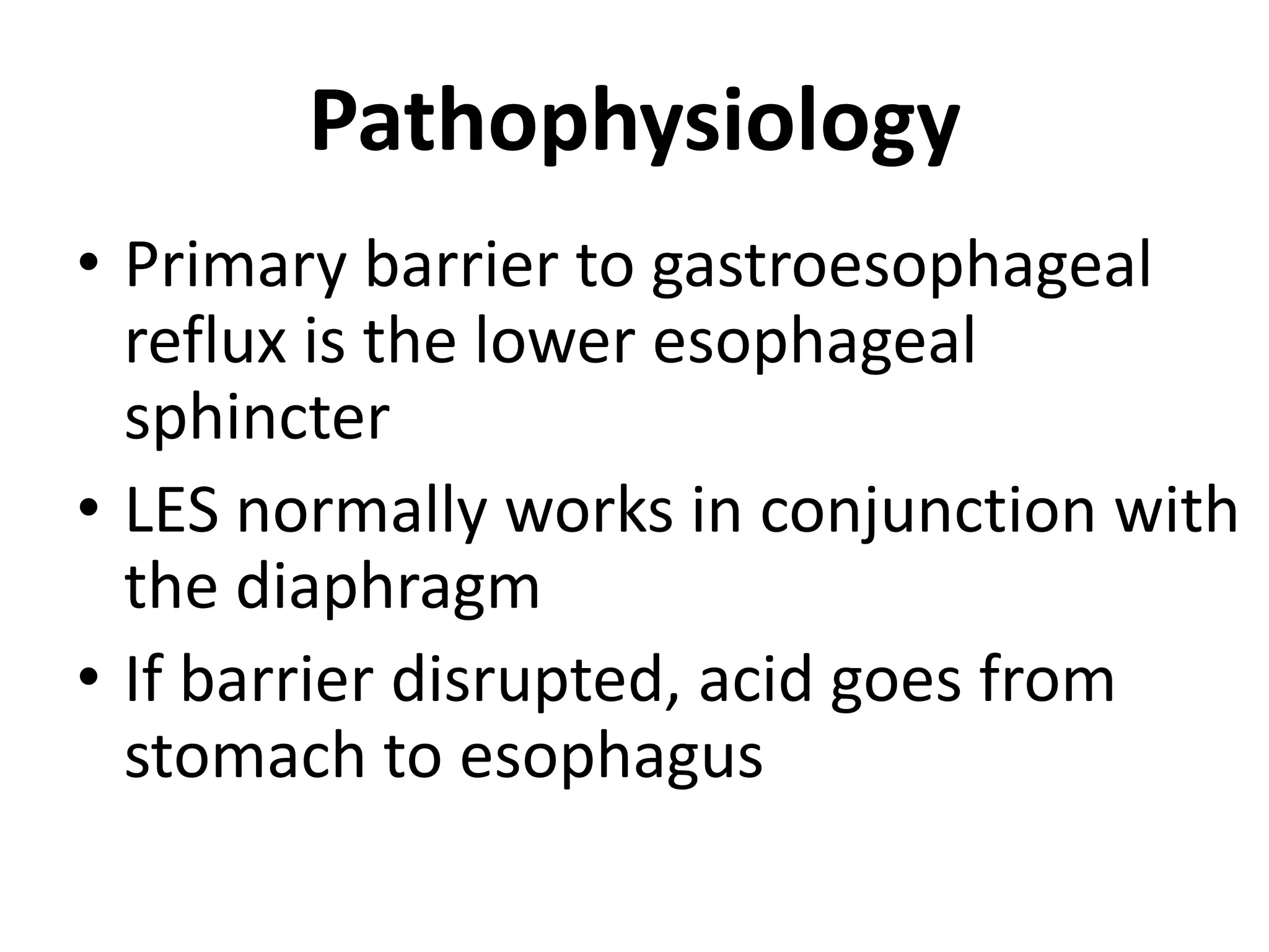 gerddrsendhil-stomach system gut splinter.pdf