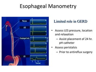 gerddrsendhil-stomach system gut splinter.pdf
