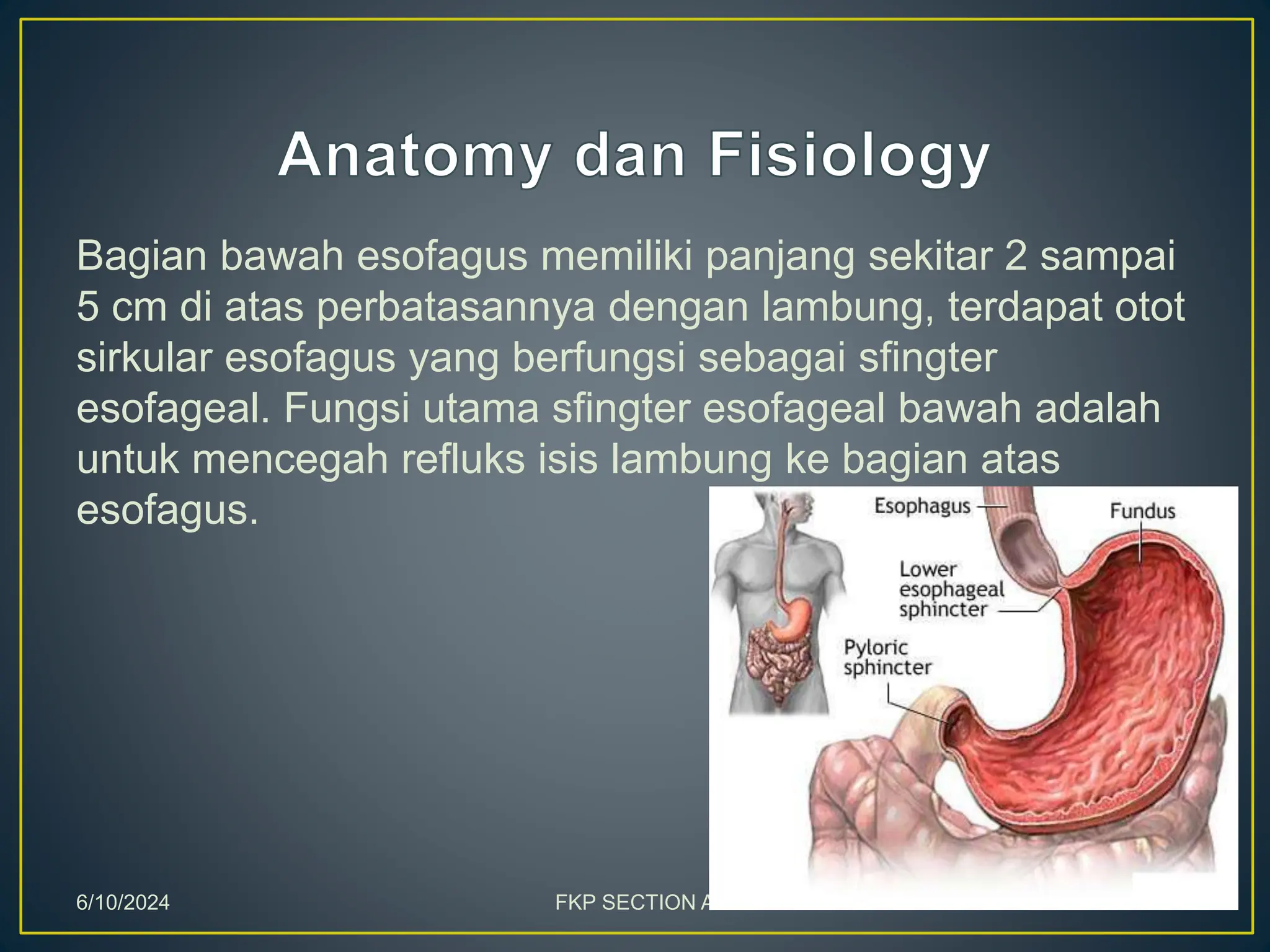 GERD_Gastroesophageal_Reflux_Disease.pptx