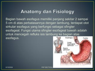 GERD_Gastroesophageal_Reflux_Disease.pptx