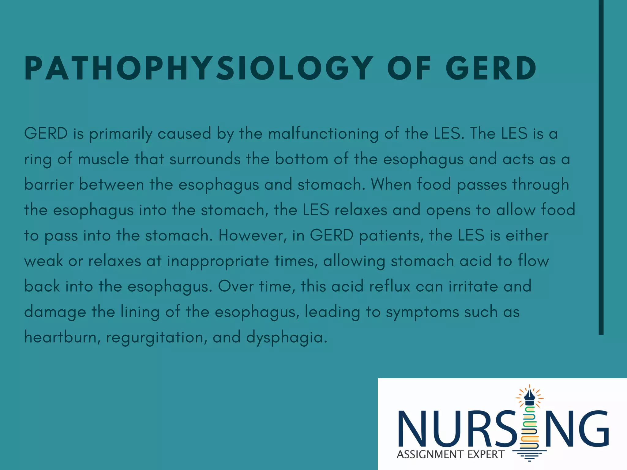 Gerd Nursing Assignment Help.pdf