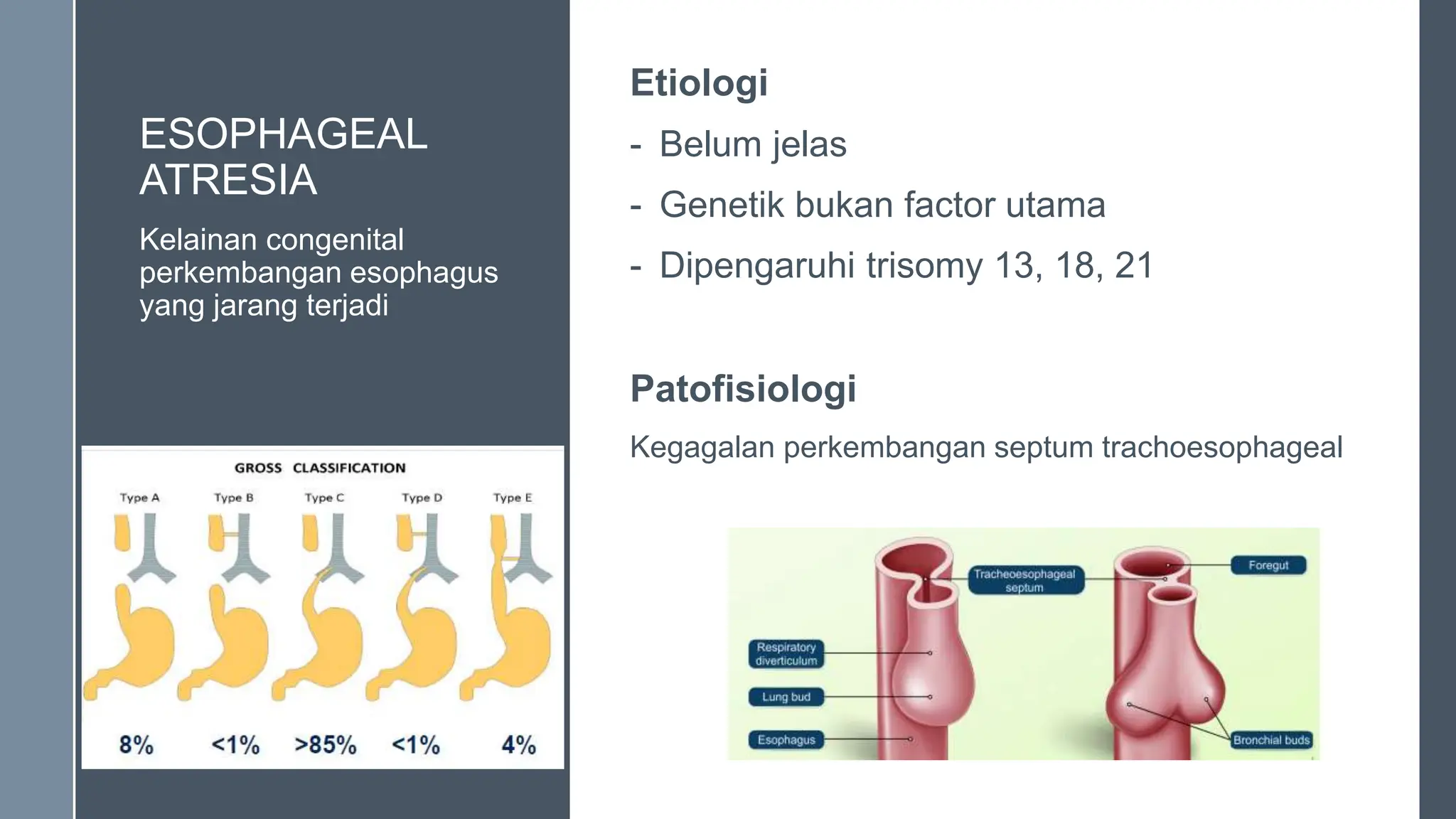 GERD, Perdarahan GI, Esophageal Atresia, Hernia Diafragma Kongenital ...