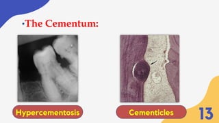 Geriatric Dentistry | PPTX