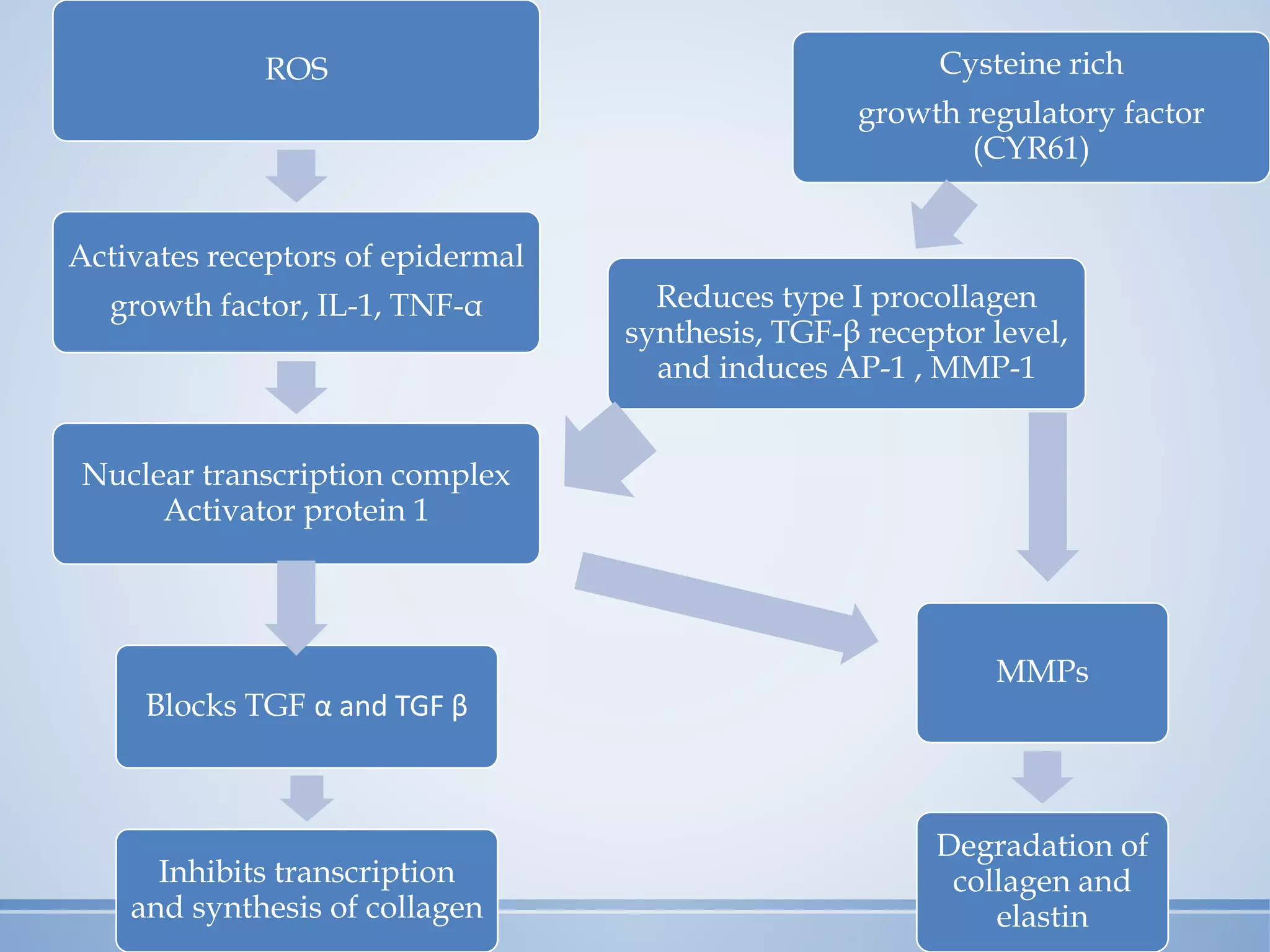 Ageing and Geriatric dermatoses | PPTX