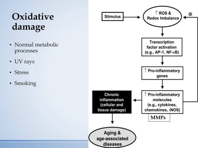 Ageing and Geriatric dermatoses | PPTX