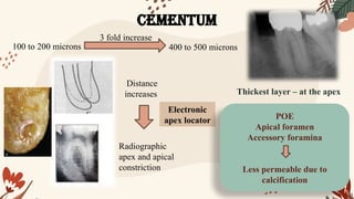 GERIATRIC ENDODONTICS in Endodontics dentistry | PPTX