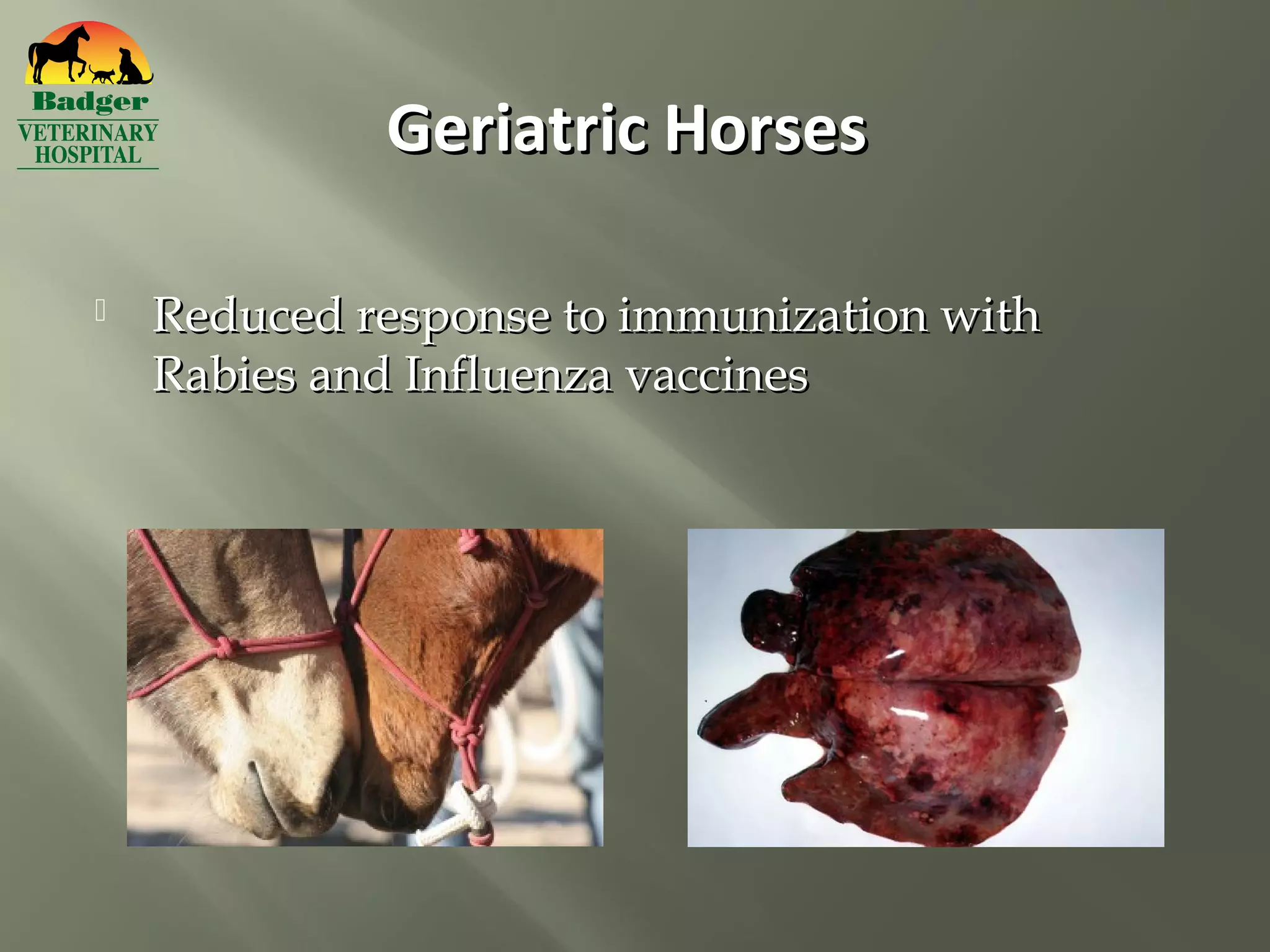 Geriatric immunology slides | PPS