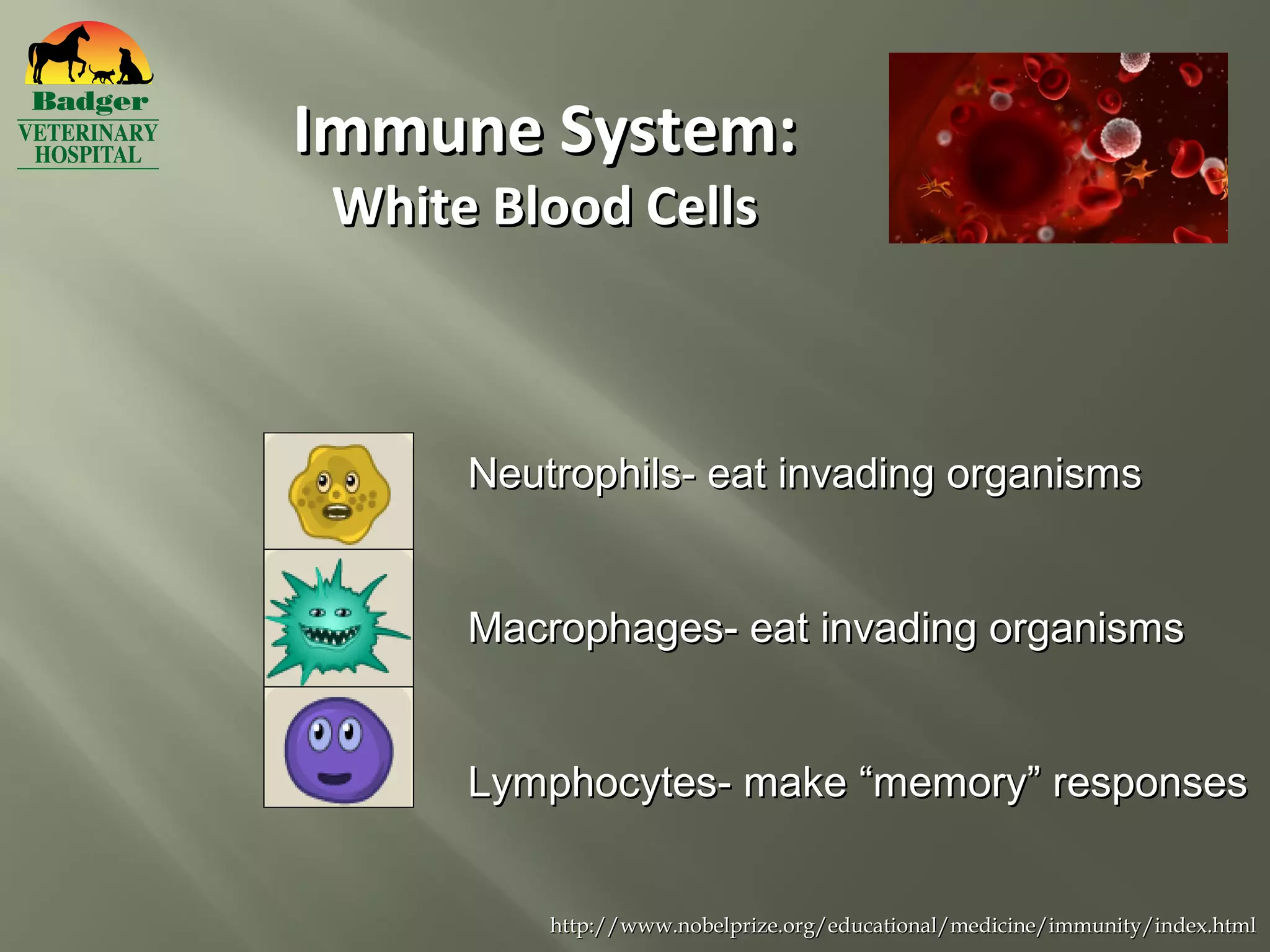 Geriatric immunology slides | PPS