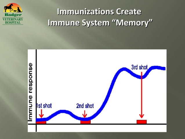 Geriatric immunology slides | PPT
