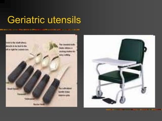 Geriatric Need Fulfilment | PPSX