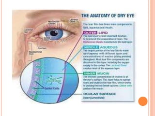 Geriatric ophthalmology | PPTX