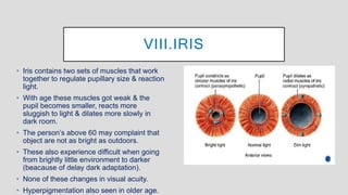 Structural Changes and Physiological Changes in the Eye Associated With ...