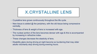 Structural Changes and Physiological Changes in the Eye Associated With ...