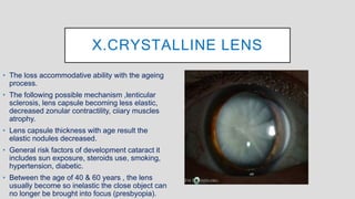 Structural Changes and Physiological Changes in the Eye Associated With ...