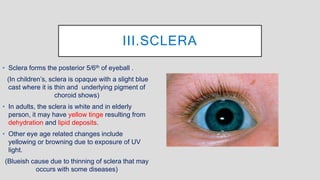 Structural Changes and Physiological Changes in the Eye Associated With ...