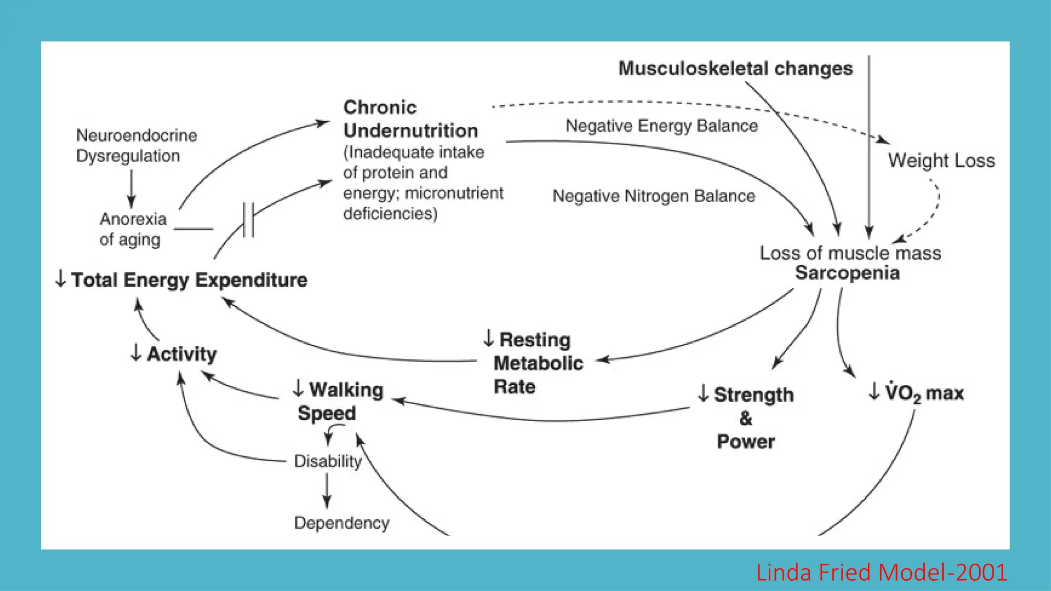 Geriatric Syndrome diagnosis and management | PPT