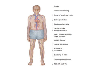 geriatric trauma.pptx