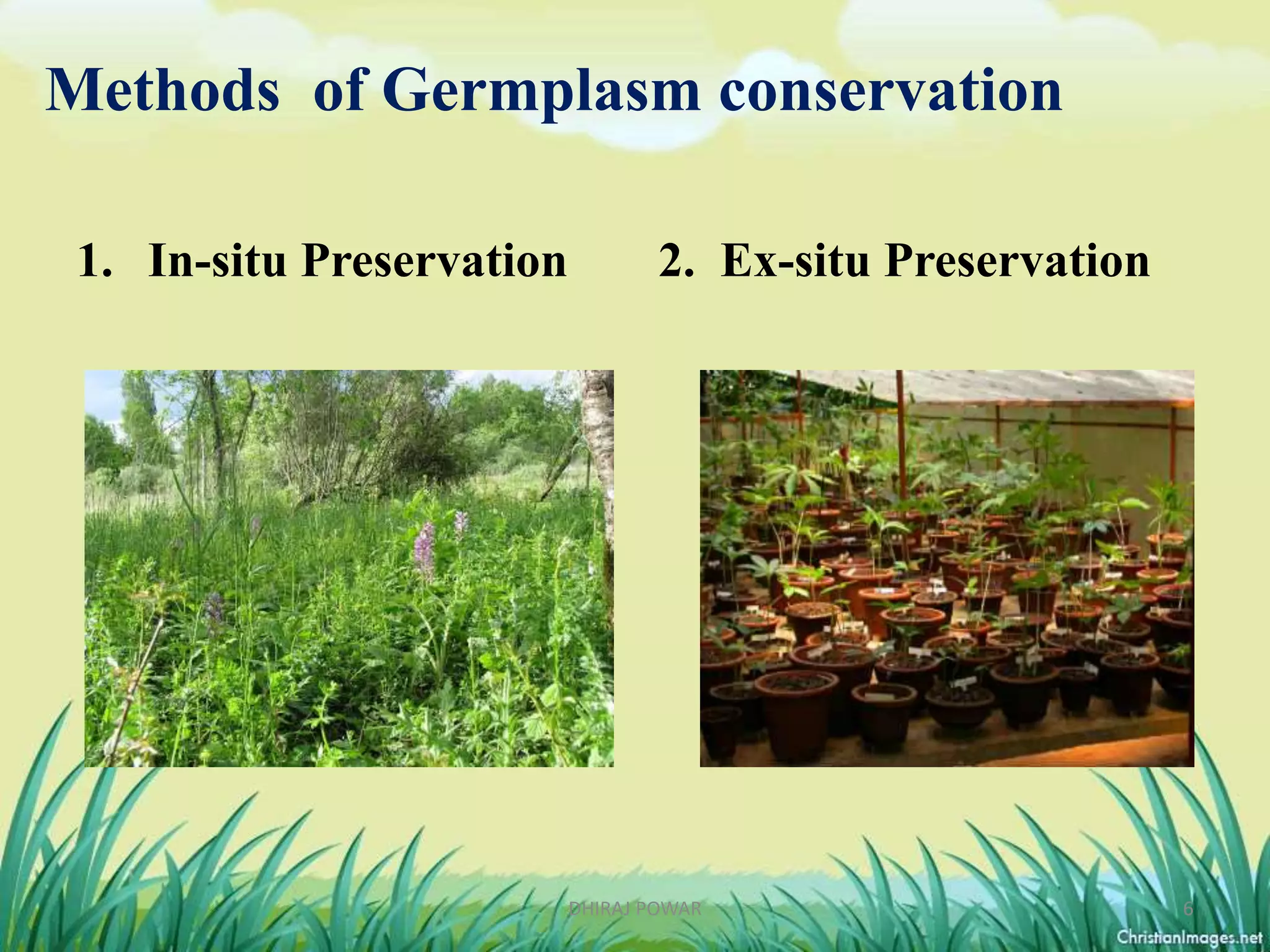 Germ plasm conservation | PPTX