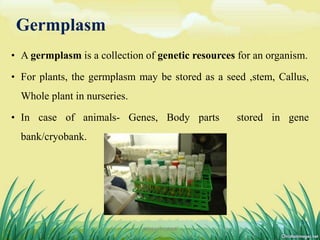 Germ plasm conservation | PPTX