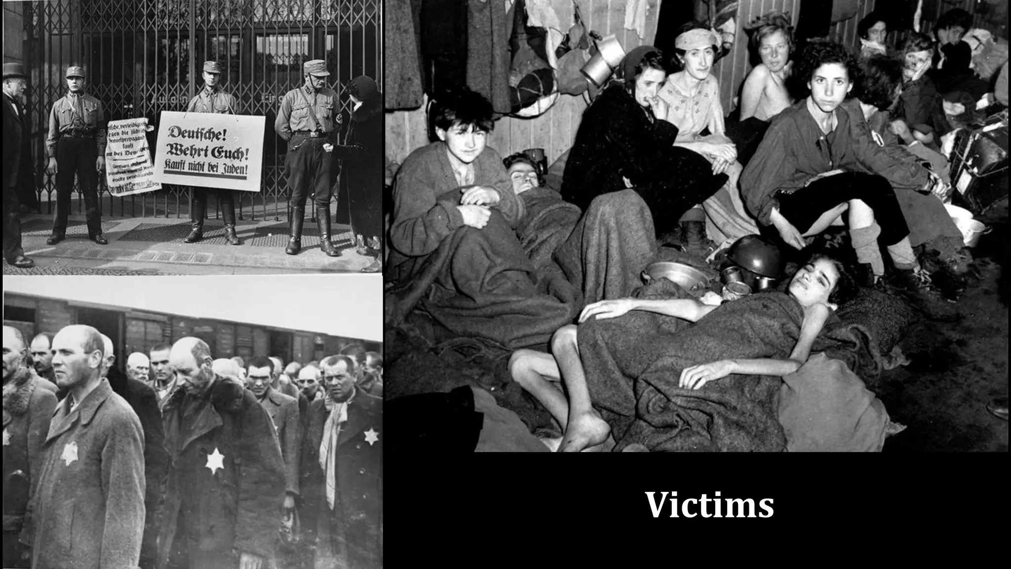 German elections 1930 to 1938 | PDF