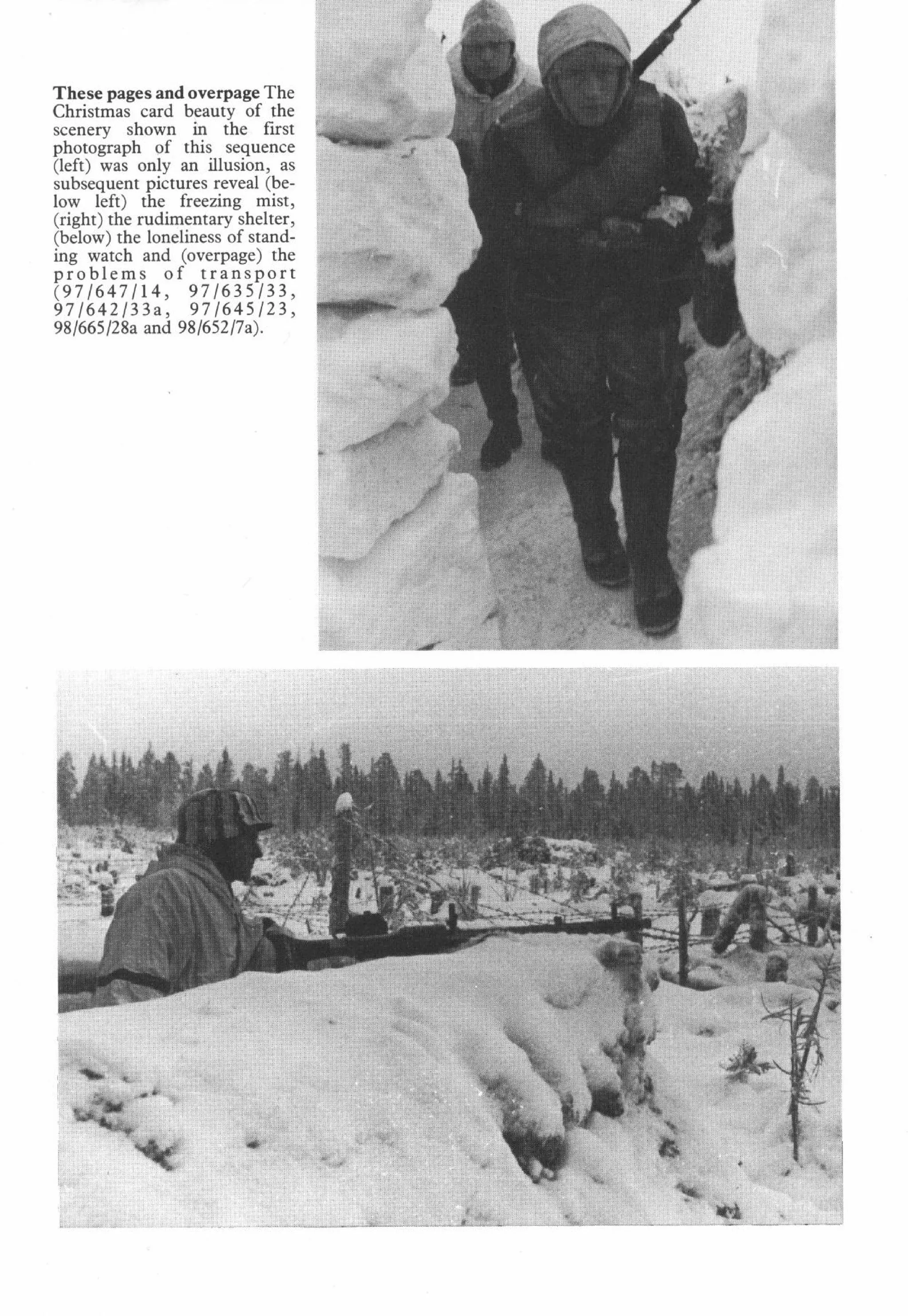German mountain troops wwii photo album | PDF