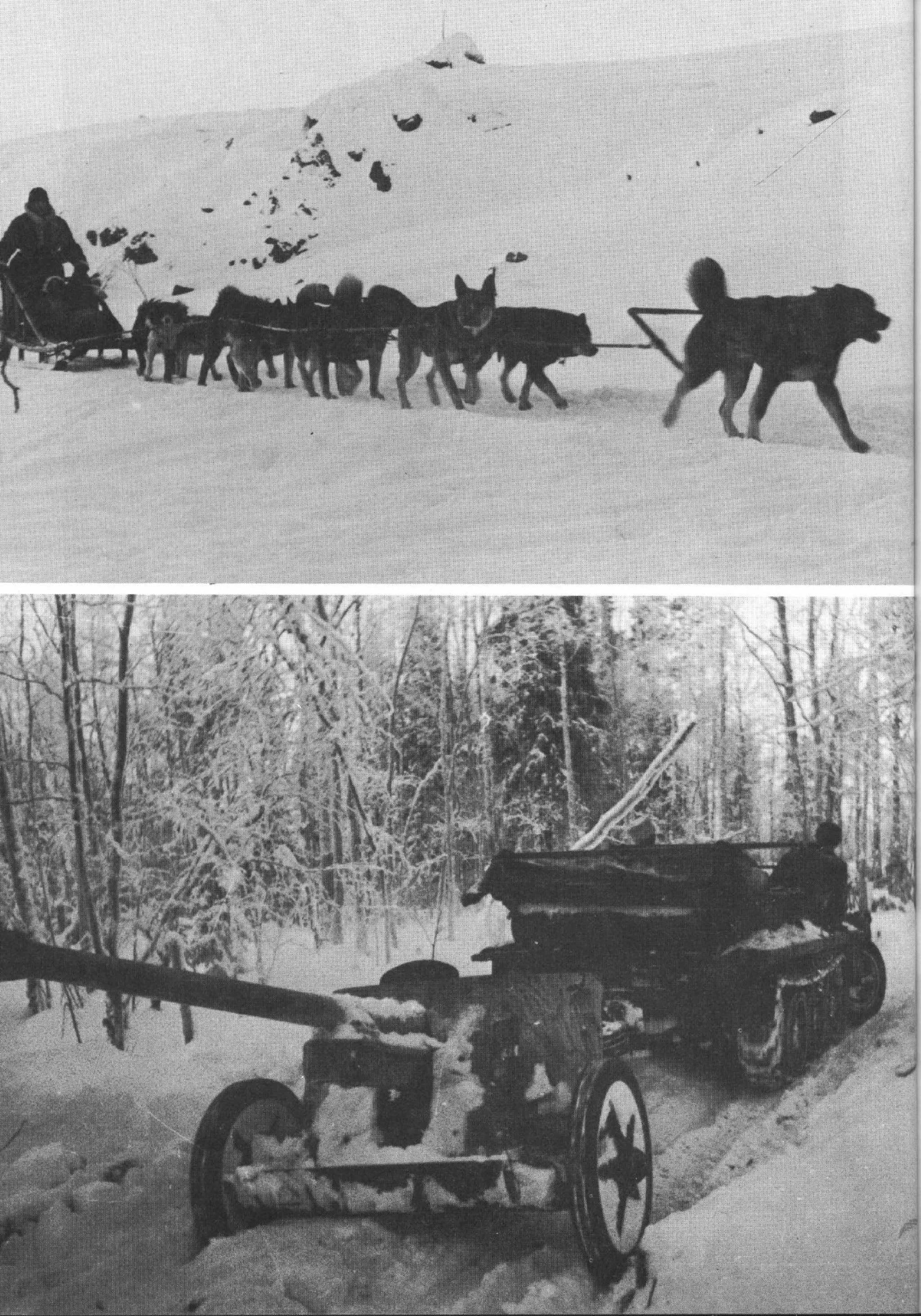 German mountain troops wwii photo album | PDF