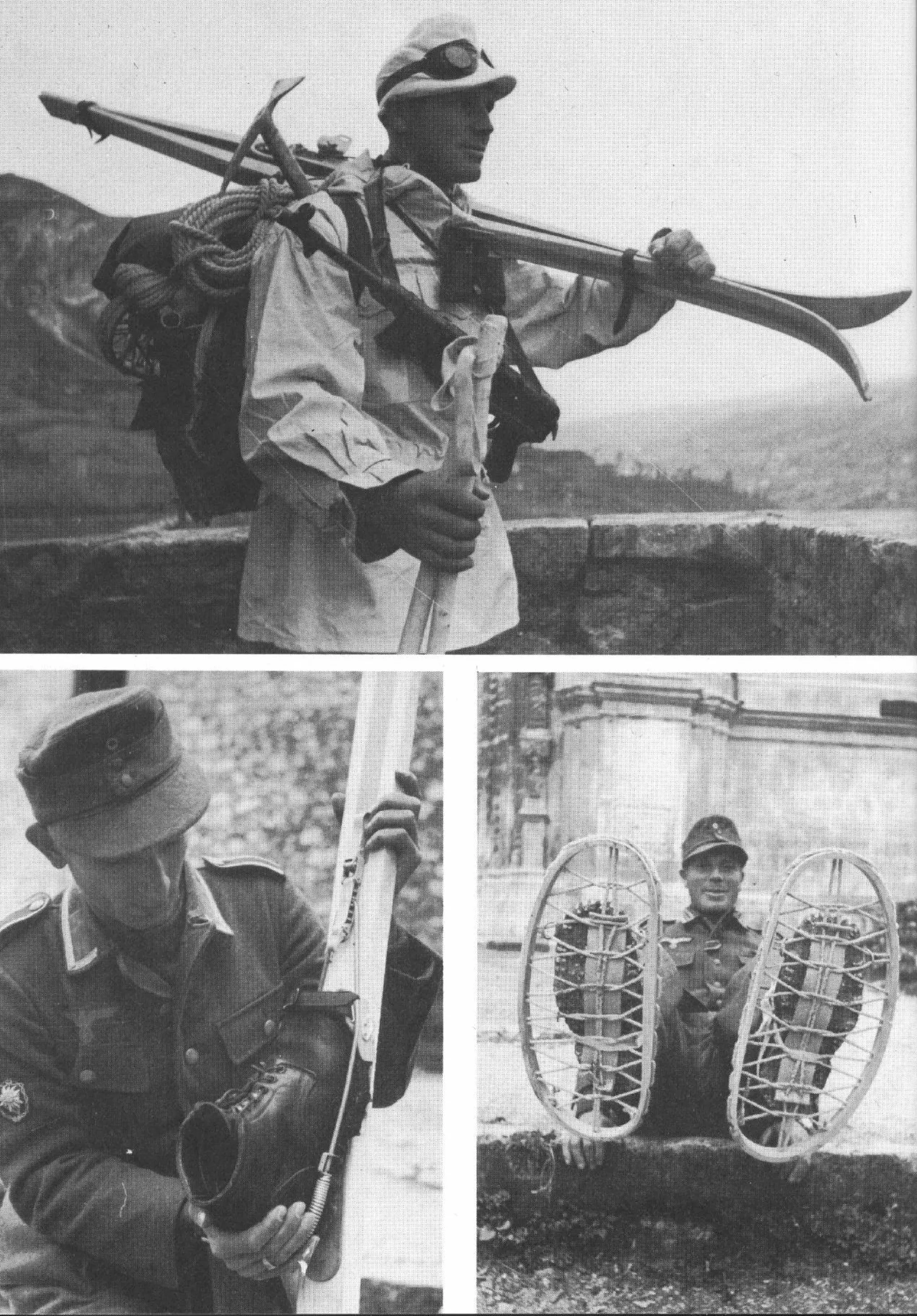 German mountain troops wwii photo album | PDF