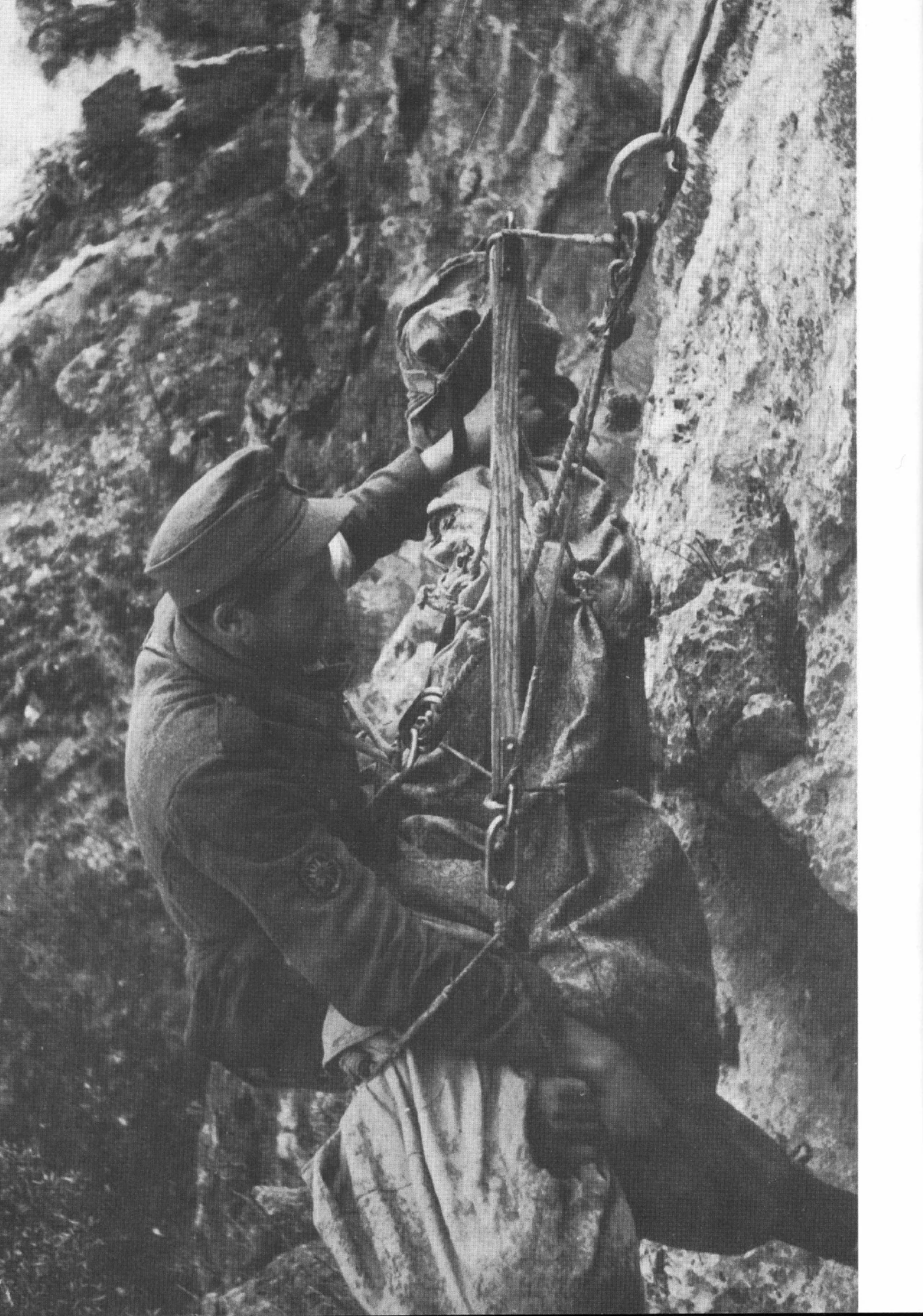 German mountain troops wwii photo album | PDF