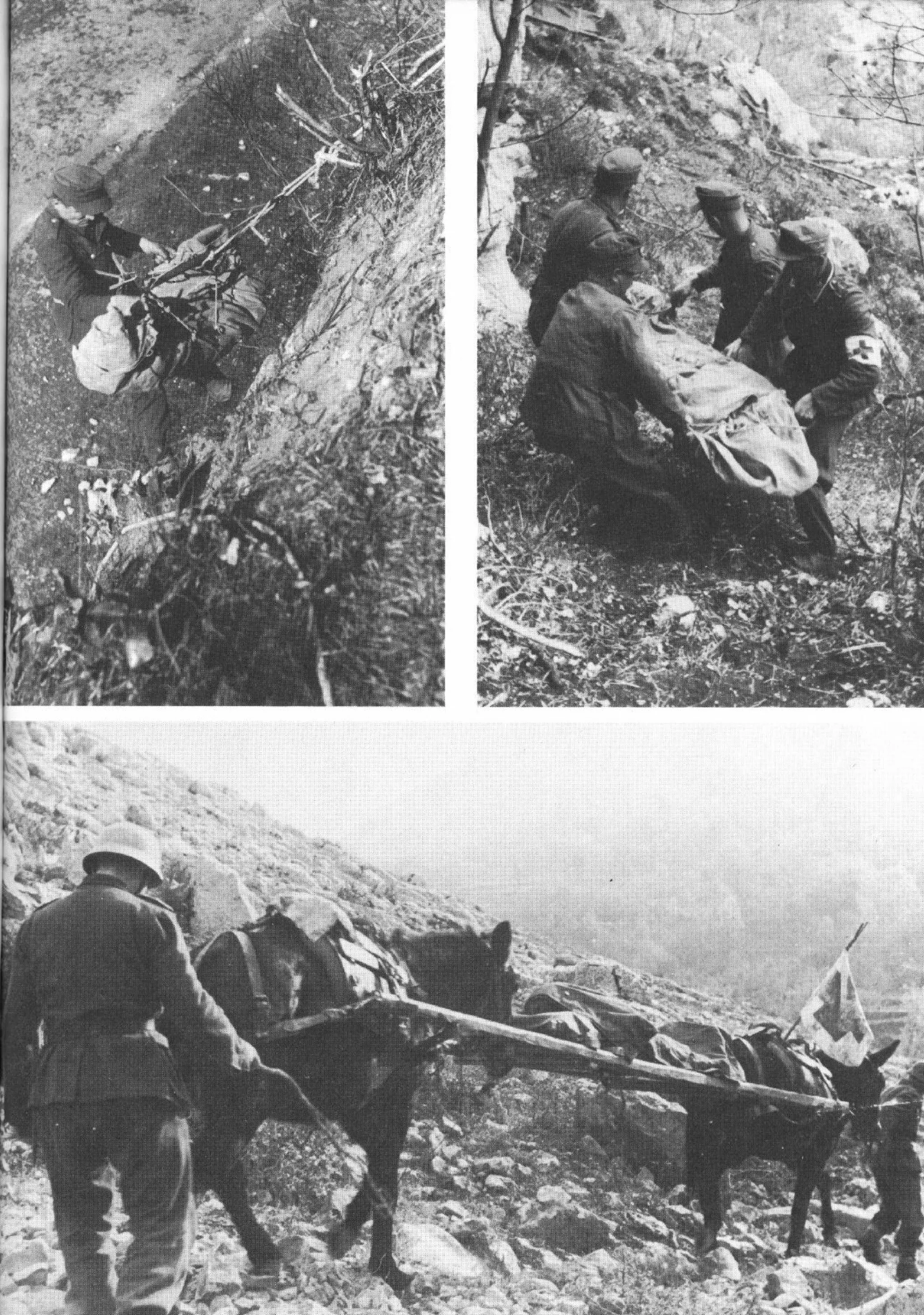 German mountain troops wwii photo album | PDF